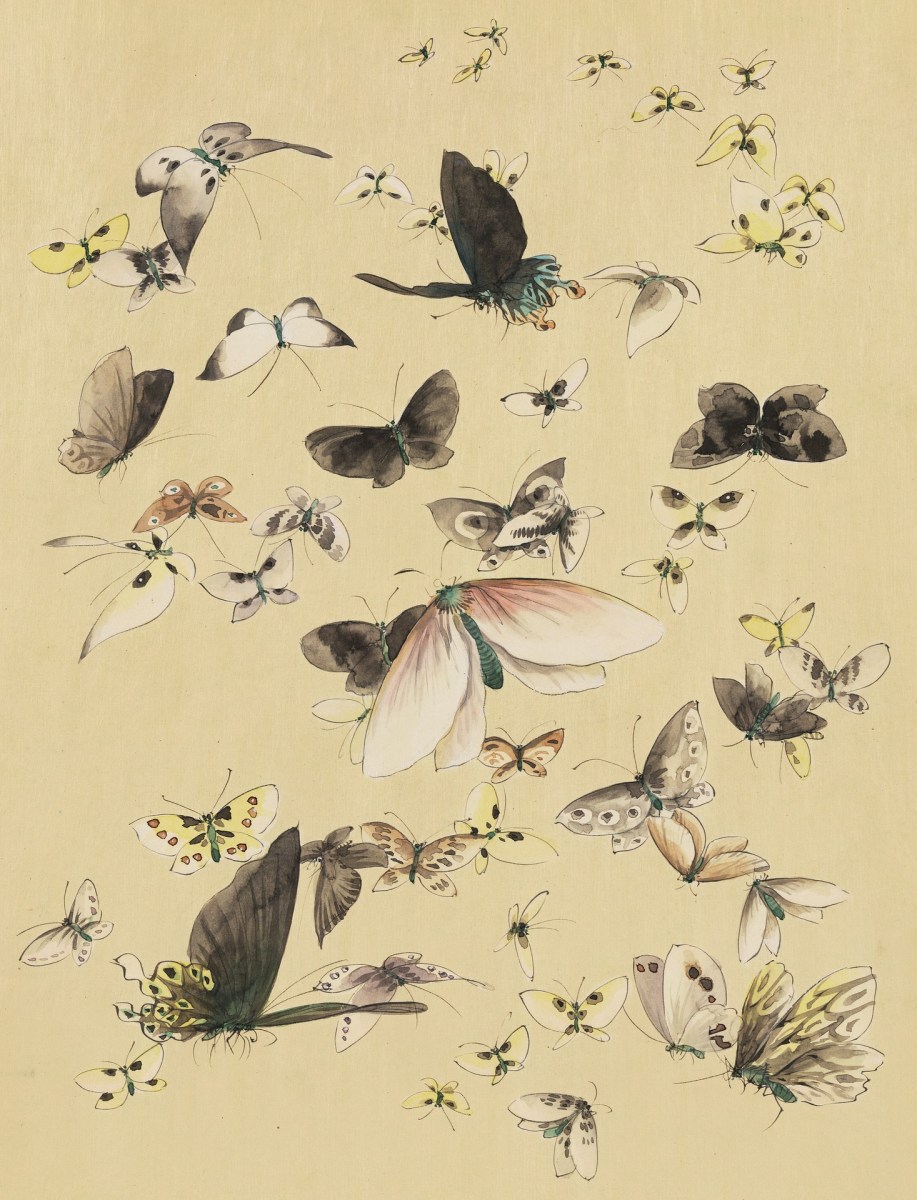 Elizabeth Friel, Centenary – DODGING THE RAIN